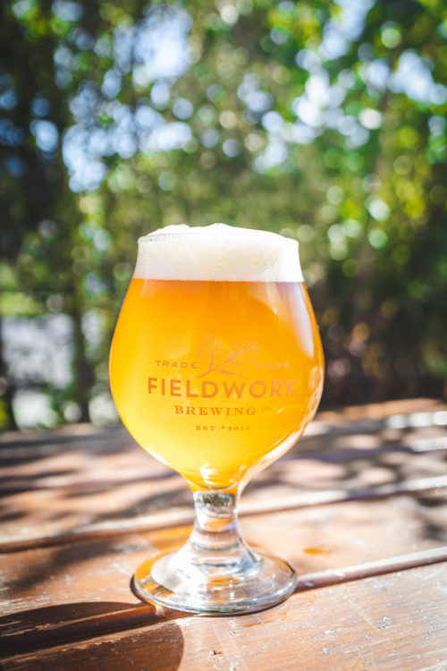 Temple of Bloom | Beer - Fieldwork Brewing Co.