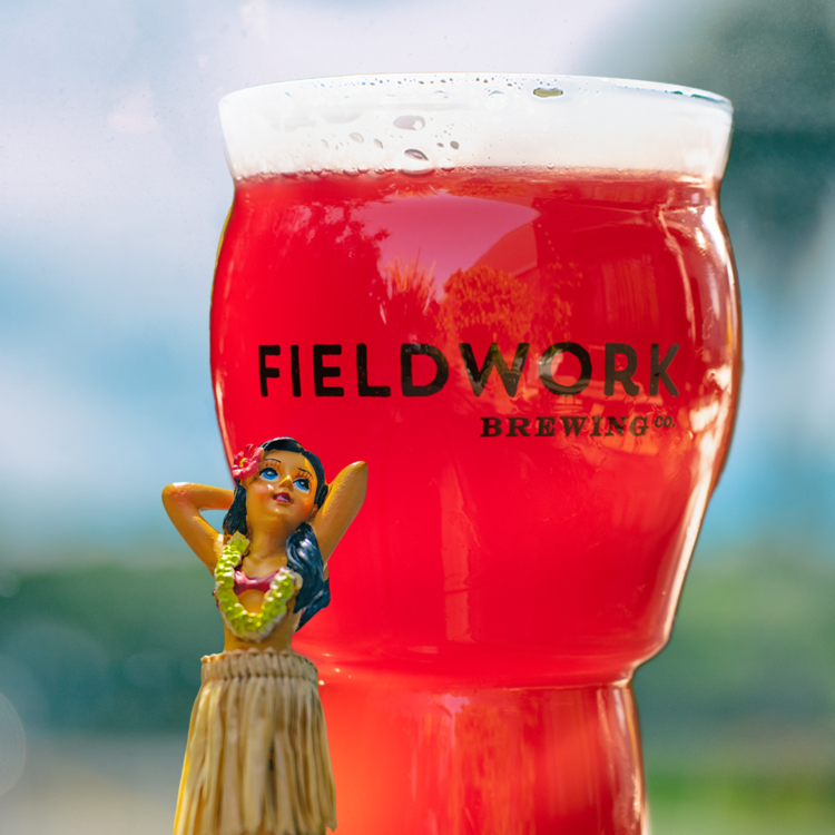 Aloha Vibes | Beer - Fieldwork Brewing Co.
